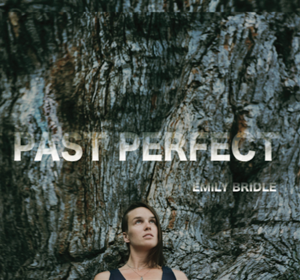 Past Perfect | Emily B