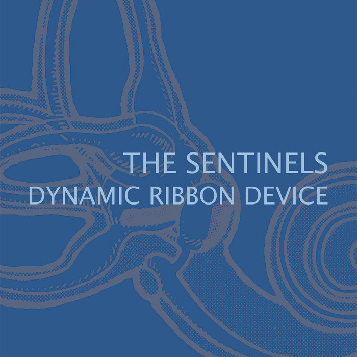 Dynamic Ribbon Device | The Sentinels