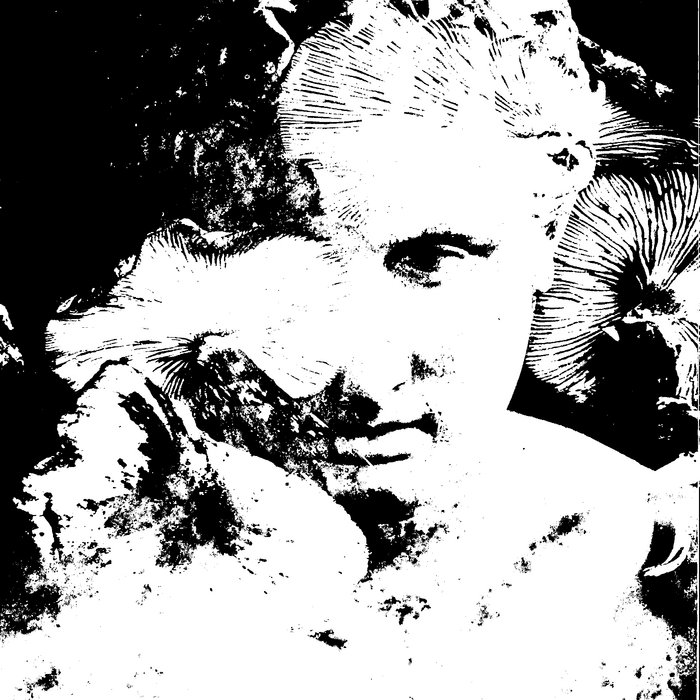 embox | Thaniel Ion Lee