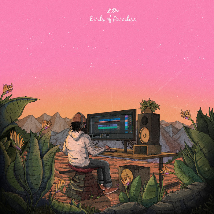 birds of paradise | L.Dre