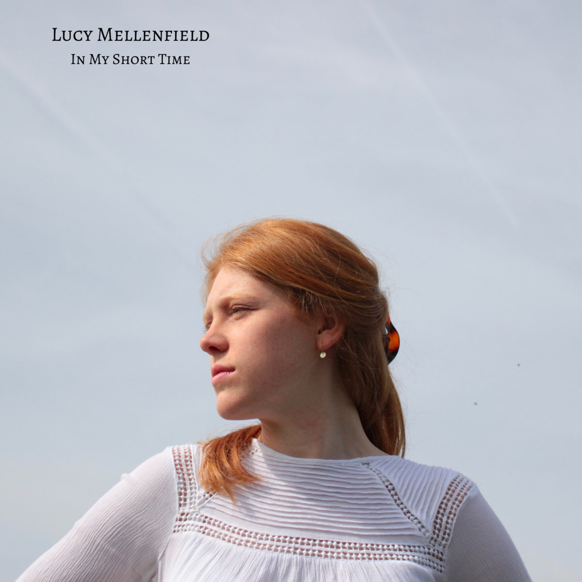 In My Short Time | Lucy Mellenfield