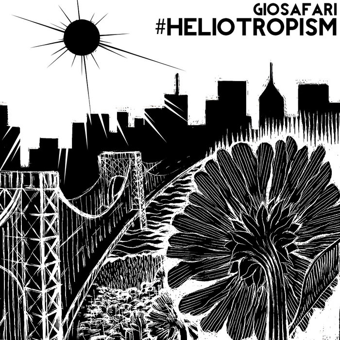 Heliotropism | GioSafari