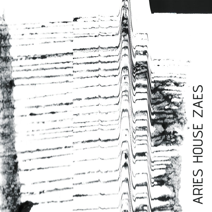 EV017: Network Friction | Aries House Zaes | Editions Verde