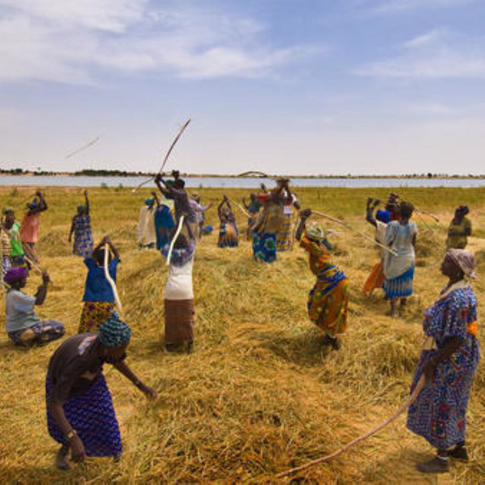 Chant traditionnel africain (canon à 3 voix) | Laurent Chabloz
