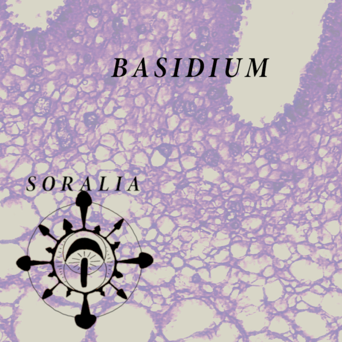 Basidium