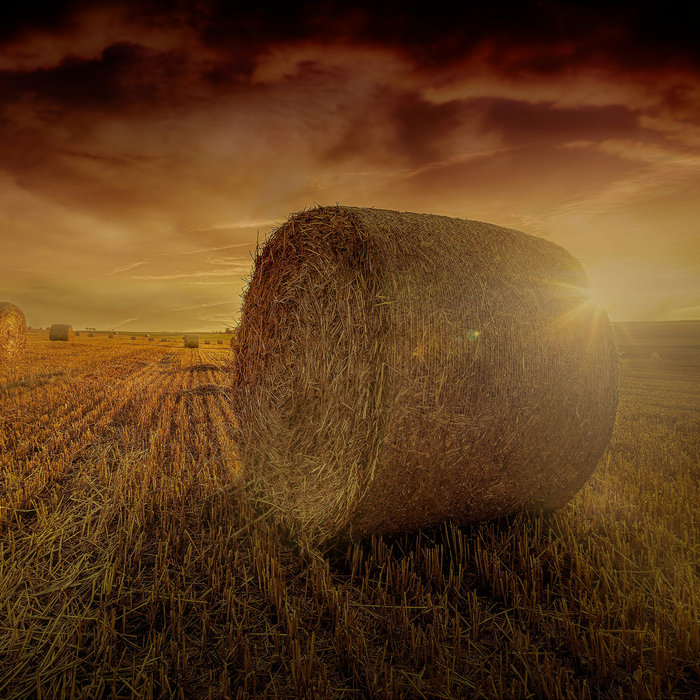 The Whole Bale | Wil Greenstreet