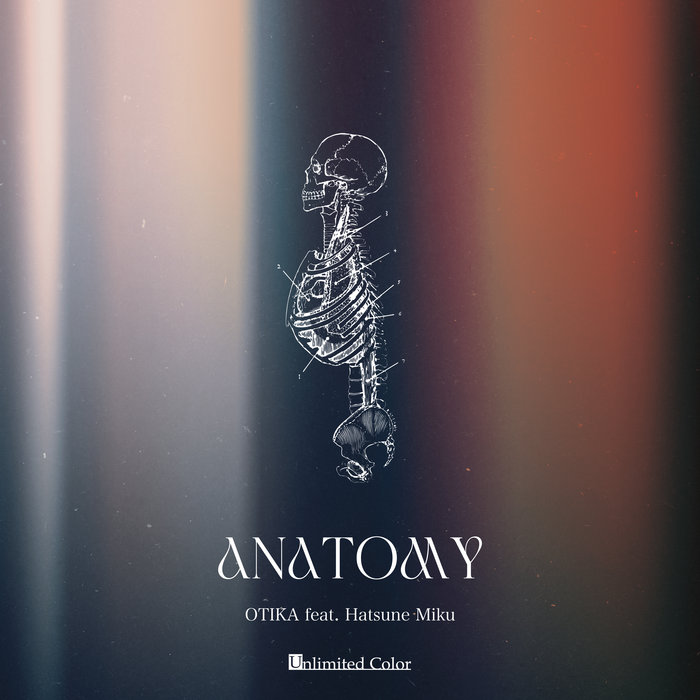 ANATOMY | OTIKA
