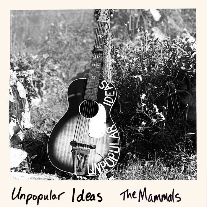 Unpopular Ideas (Remastered) | The Mammals