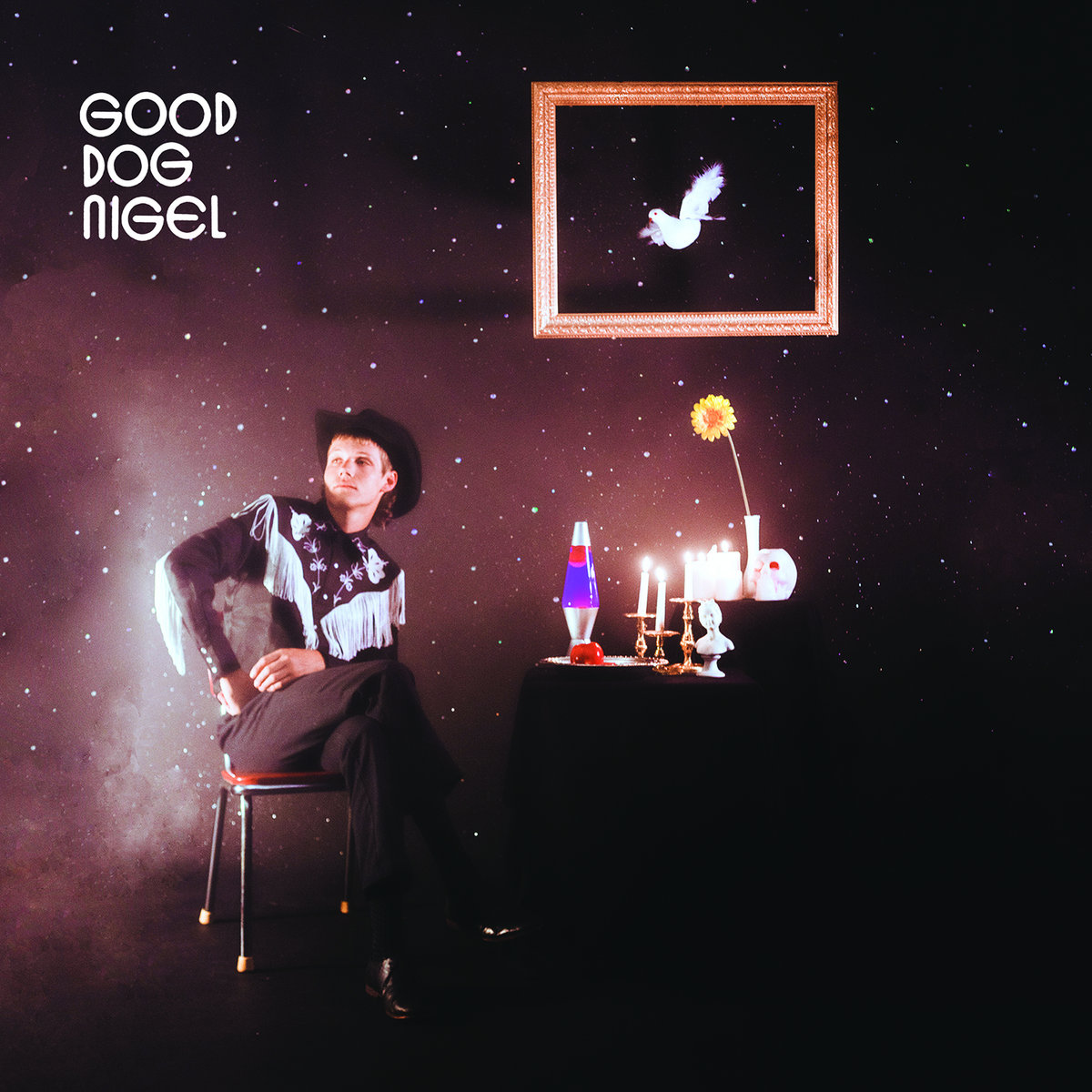 "The Implied Sunrise" | Good Dog Nigel