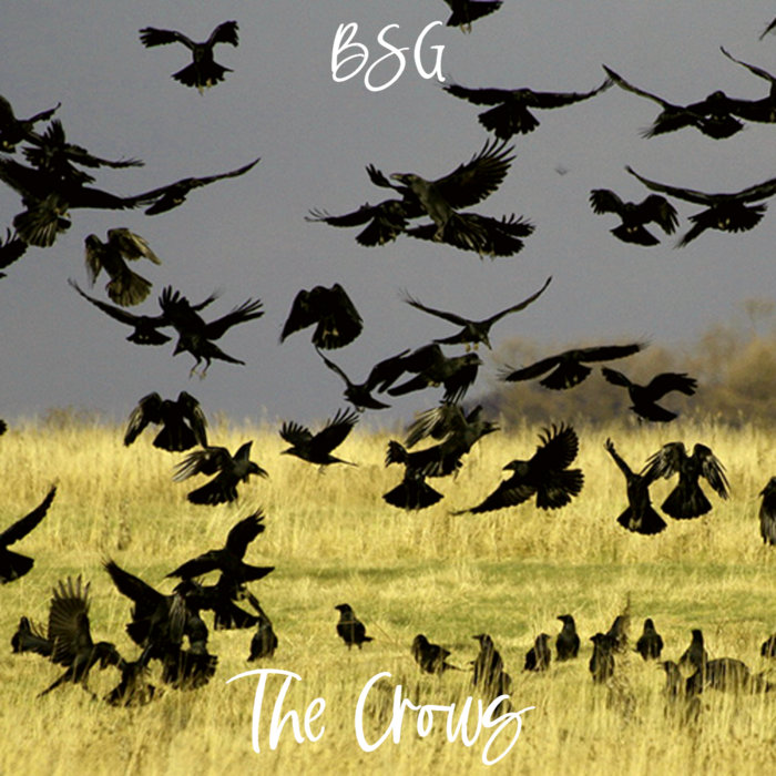 The Crows | BSG | Boris S.G
