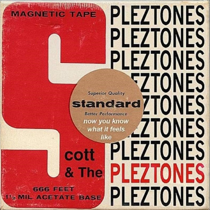 Now You Know What It Feels Like | The Pleztones | Scott Pleasant