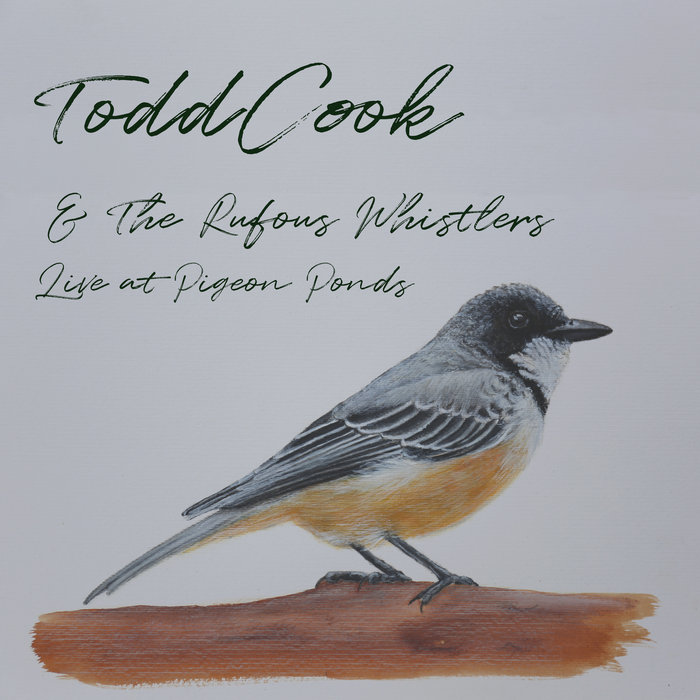 Todd Cook & The Rufous Whistlers - Live at Pigeon Ponds | Todd Cook