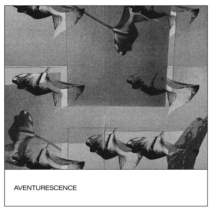 Aventurescence | Tommy Hart