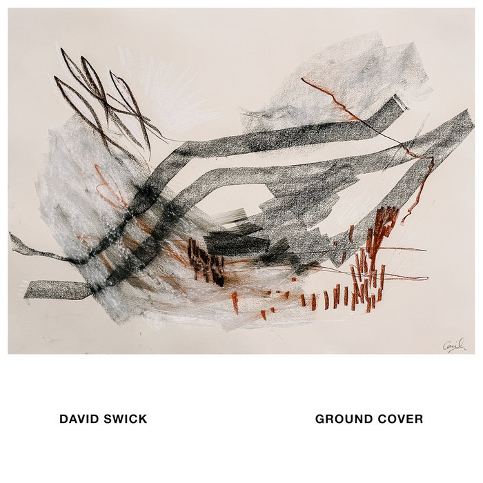 Ground Cover | David Swick