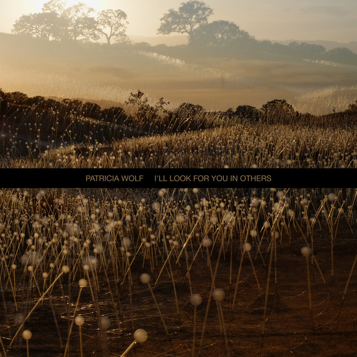 I'll Look For You In Others | Patricia Wolf | Past Inside the Present