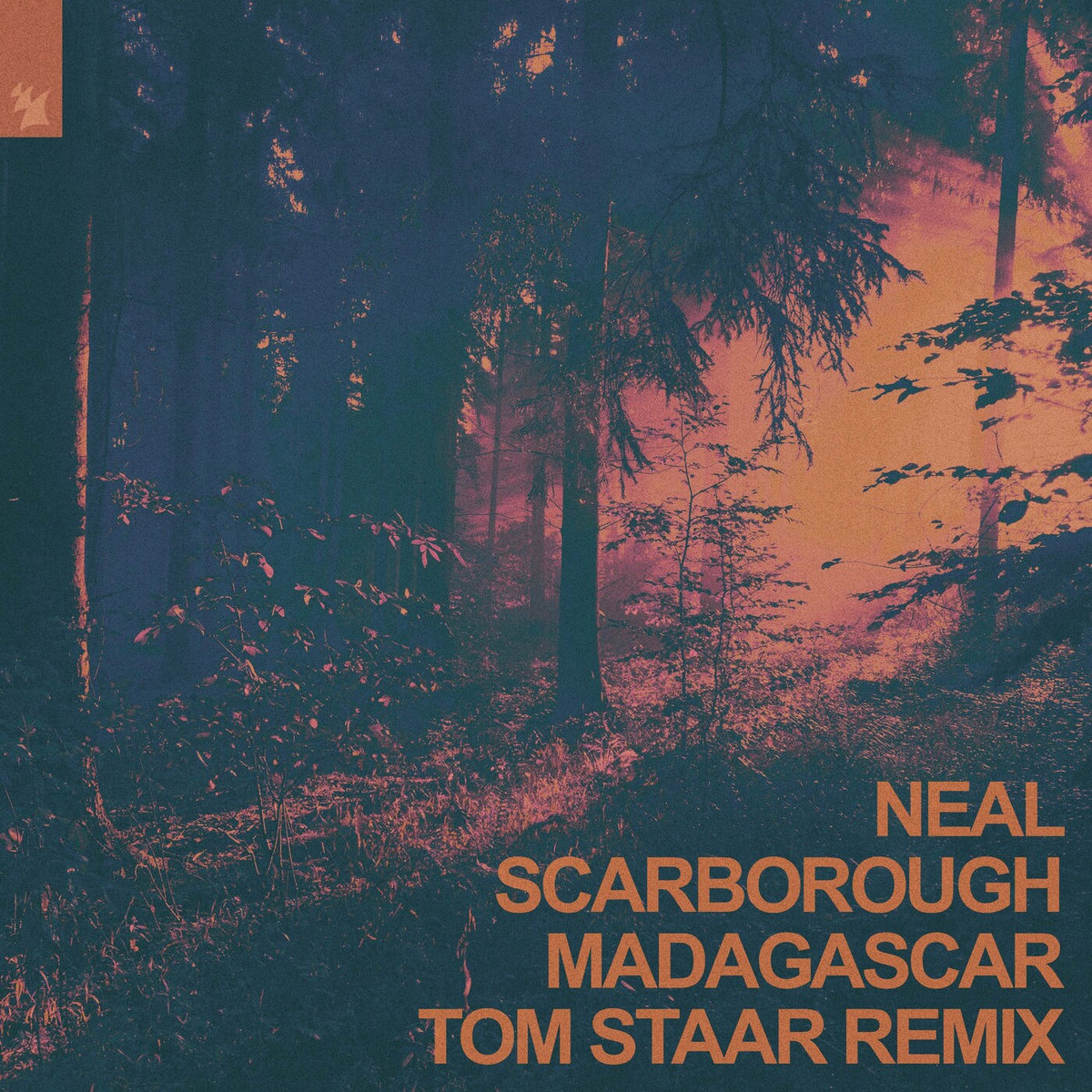 Madagascar (Tom Staar Remix) | Tom Staar
