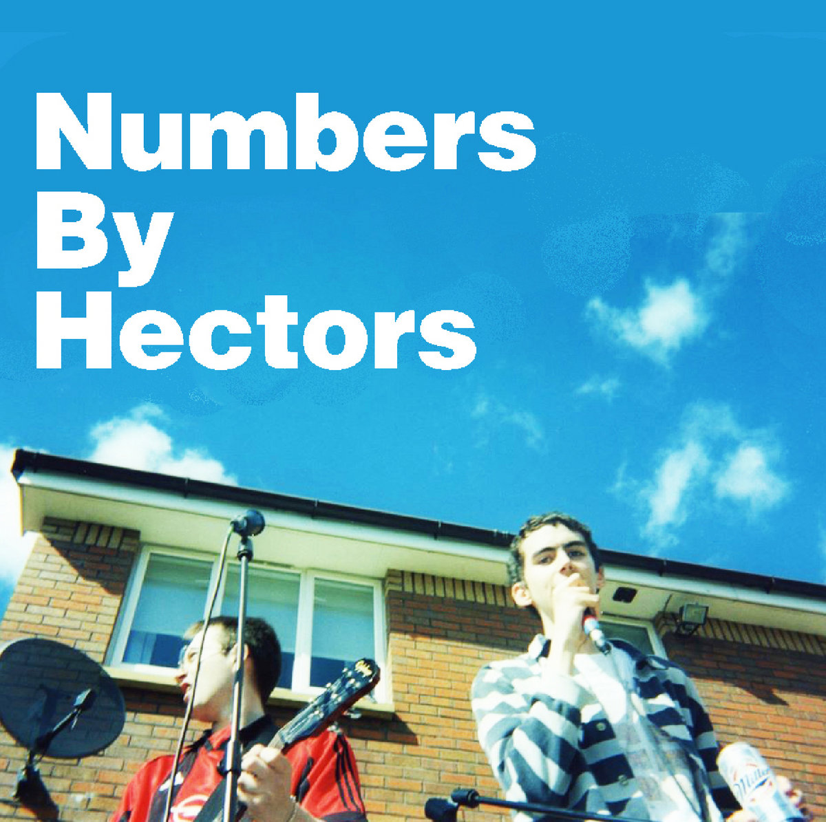 Numbers By Hectors | The Hector Collectors