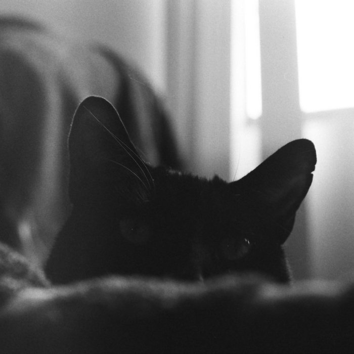 Fatigue | Evan Murga | Abstract Opaque