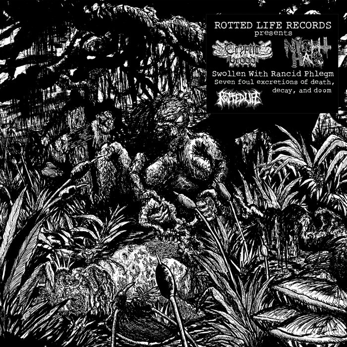 Swollen With Rancid Phlegm | Cryptic Brood/Night Hag | Rotted Life