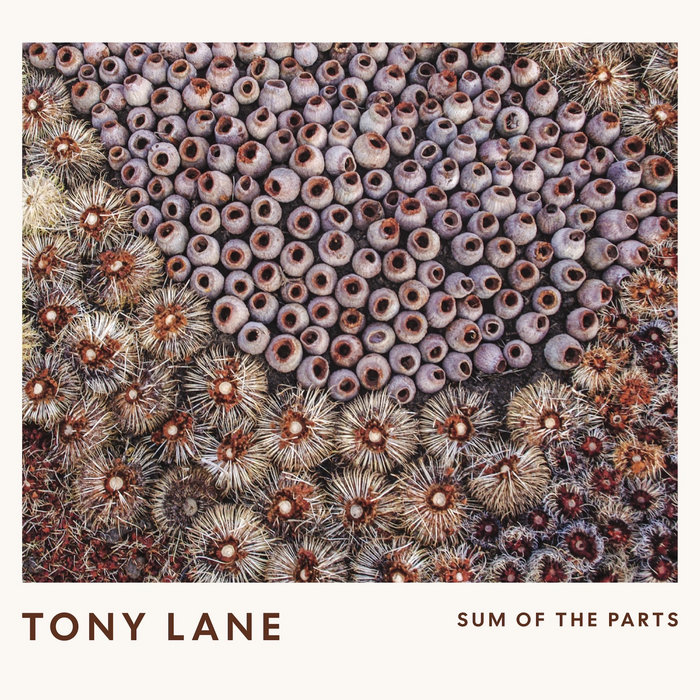 Sum Of The Parts | Tony Lane
