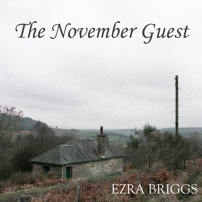 The November Guest | Ezra Briggs