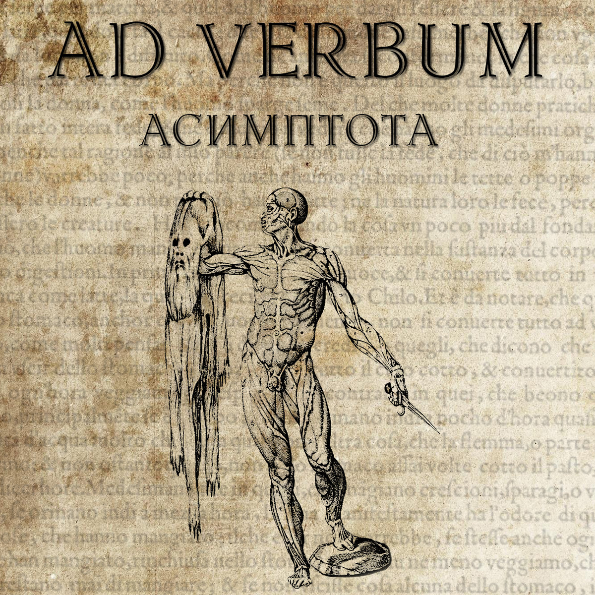 Asimptota | Ad Verbum