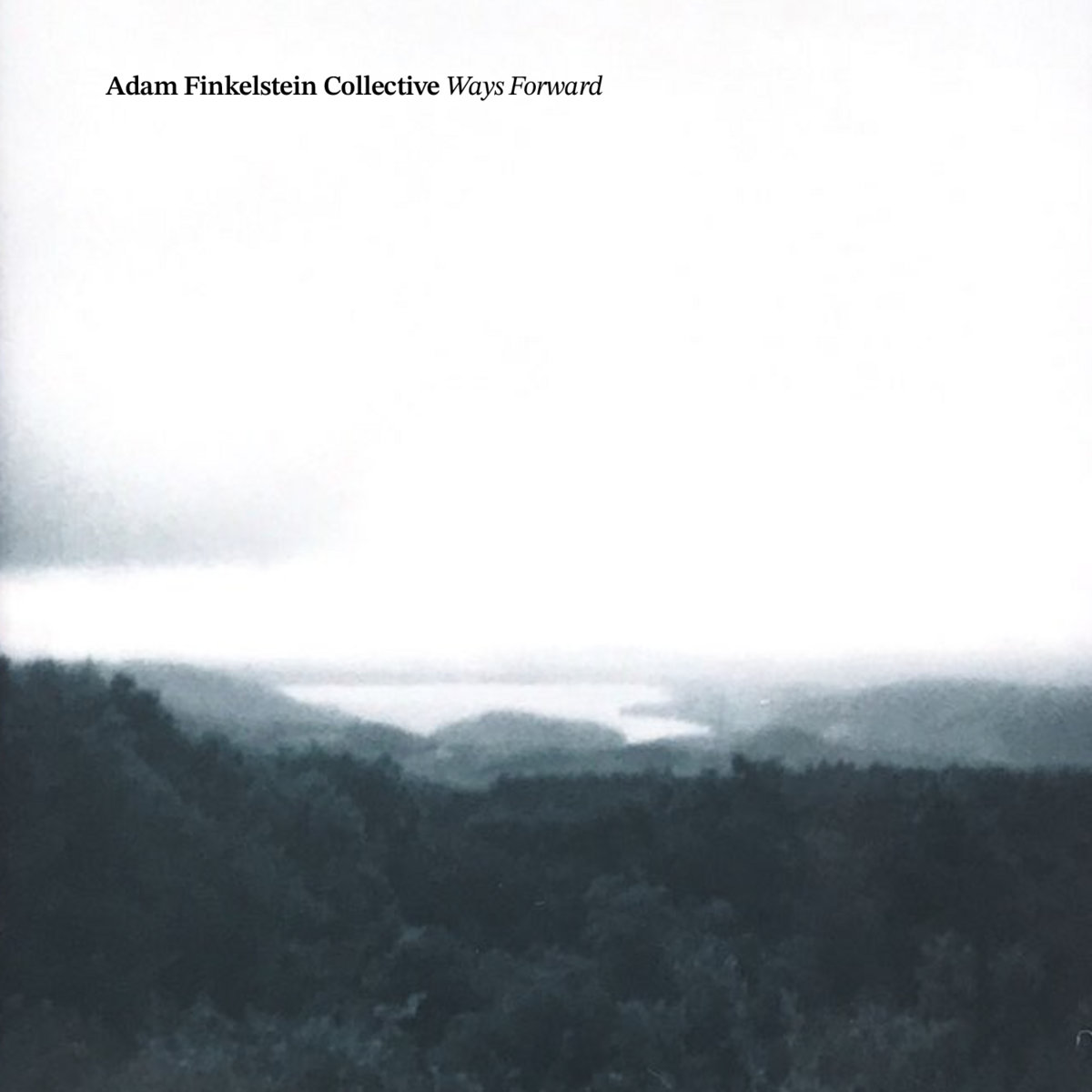 Ways Forward | Adam Finkelstein Collective