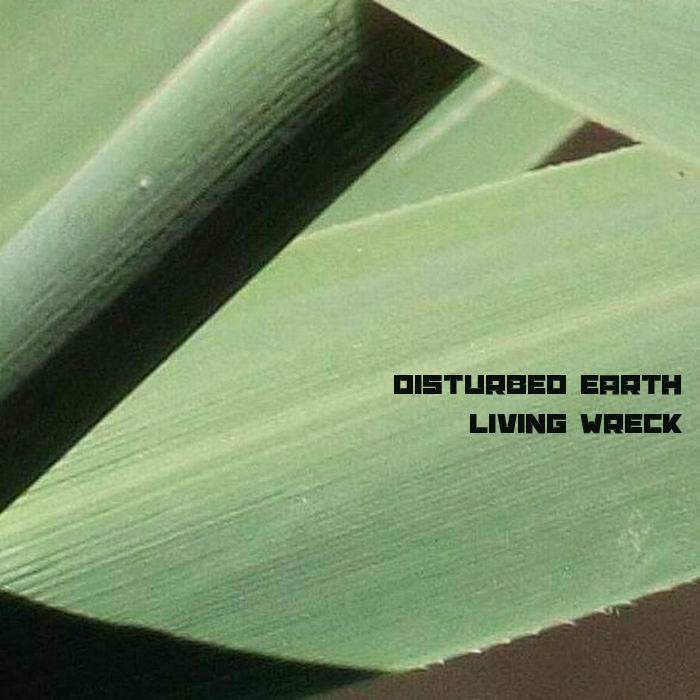 Living Wreck | Disturbed Earth
