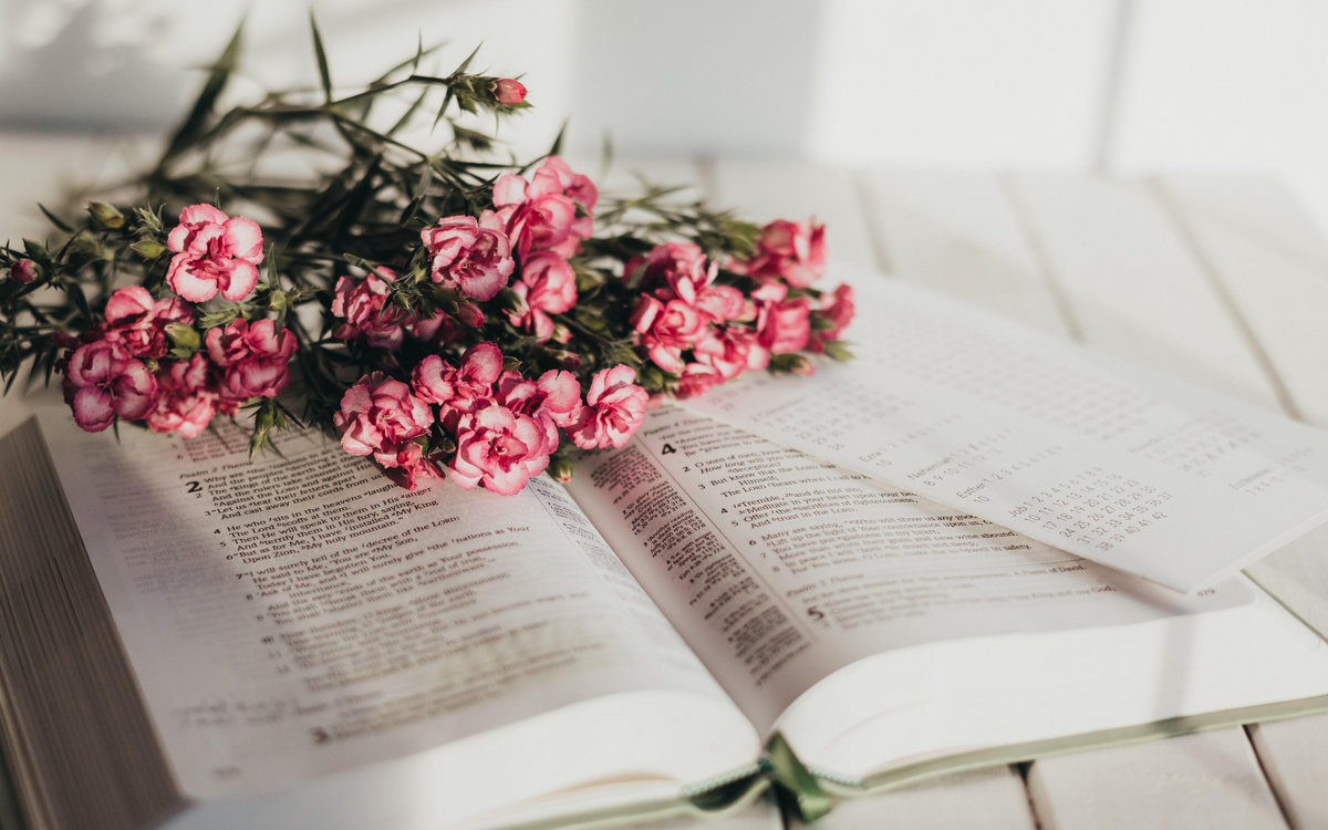 AUDIOBOOK/PDF$[ Living Language Arabic, Complete Edition: Beginner ...