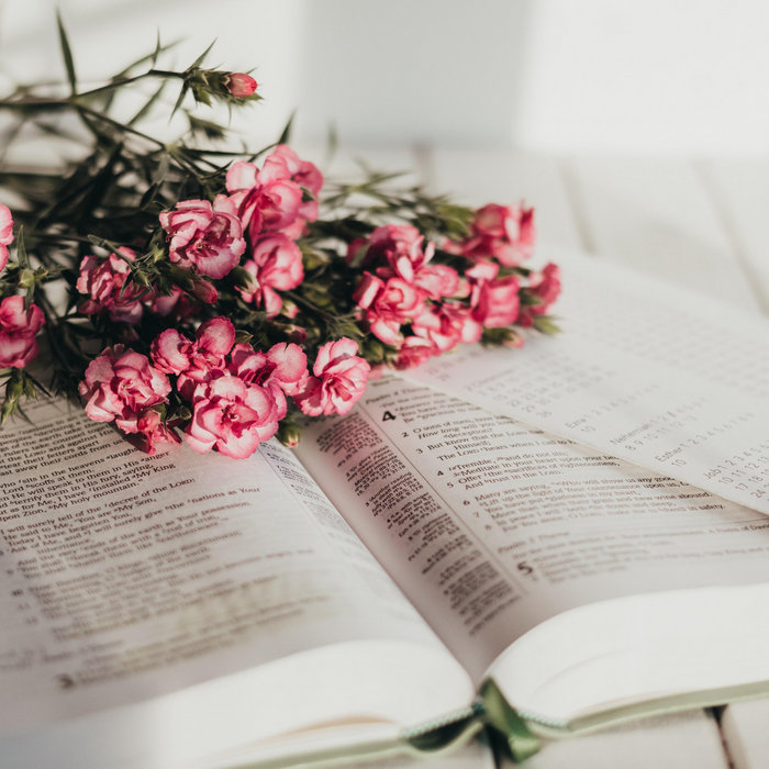 AUDIOBOOK/PDF$[ Living Language Arabic, Complete Edition: Beginner ...