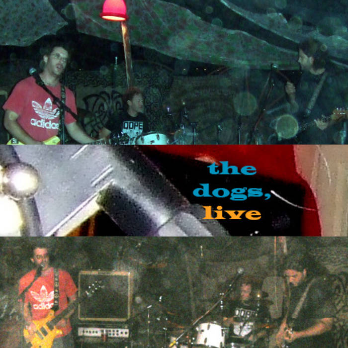 Live Dogs | The Dogs