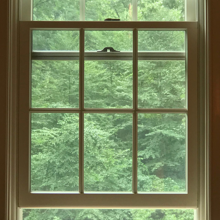 Window Demos | Saint Peligro