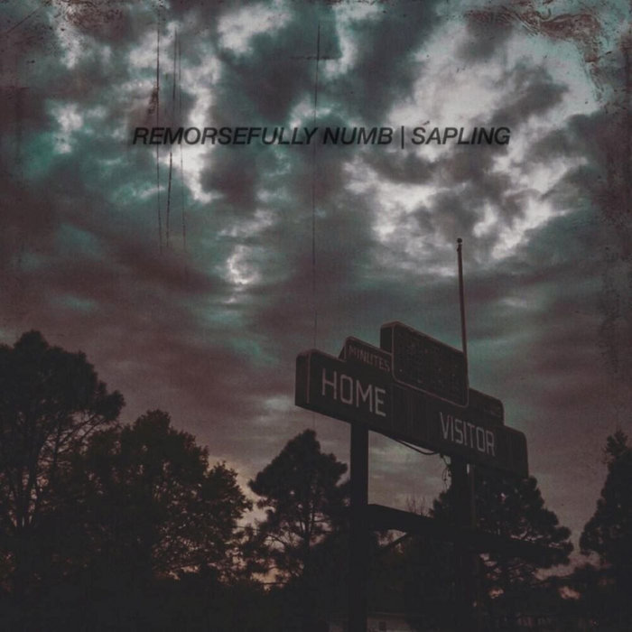 Sapling - Single | Remorsefully Numb