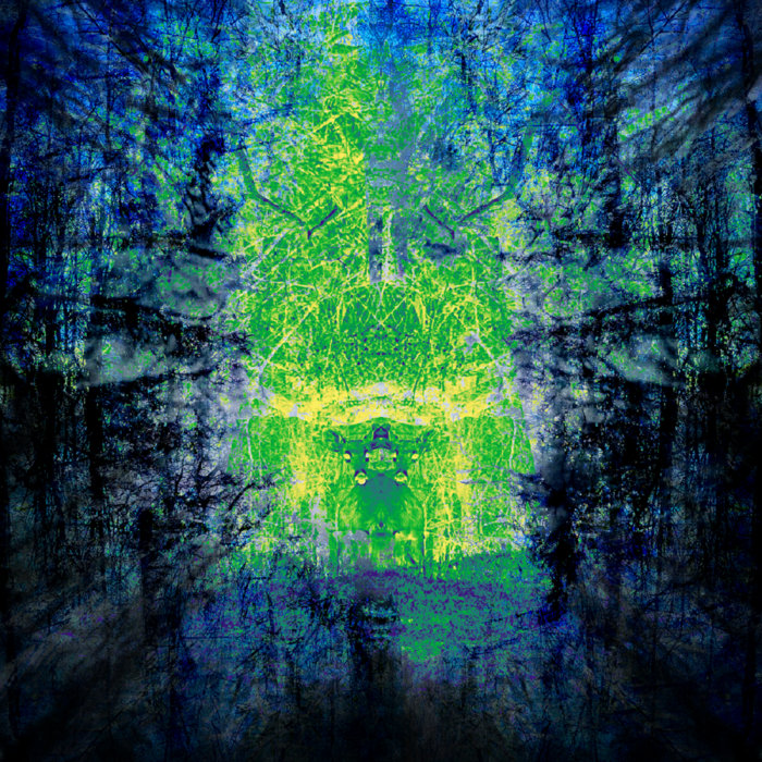 The Crow Cawed Following The Flood | Bitter Lake & The Hooded Figures ...