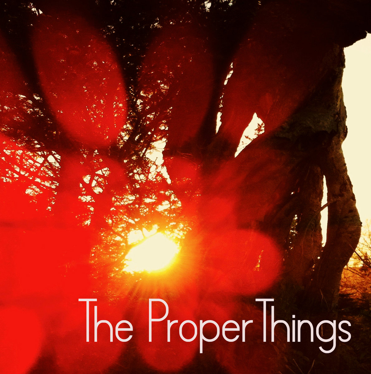 The Proper Things | The Proper Things