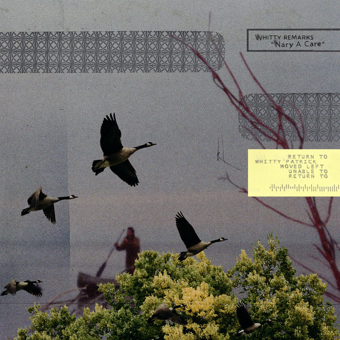 Nary A Care | Whitty Remarks