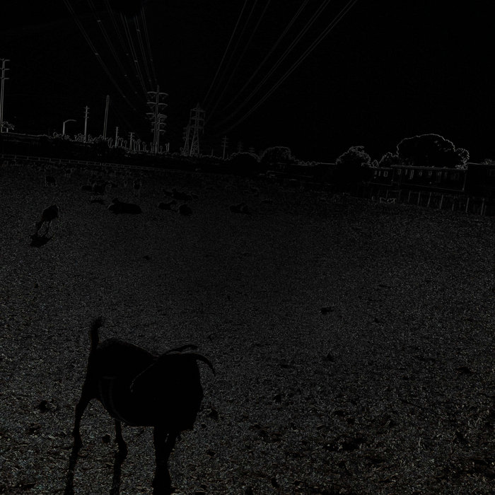 Standing on Dead Fields | Vista Pacifica