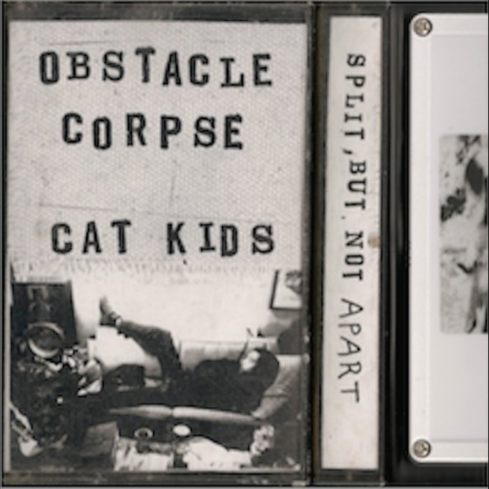 Split, But Not Apart | Cat Kids