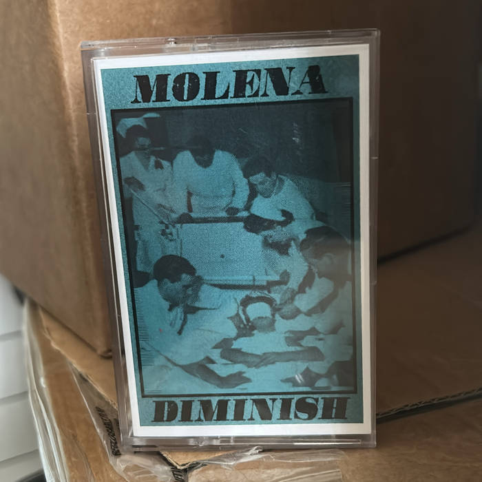 MOLENA/DIMINISH split | Bent Window Records