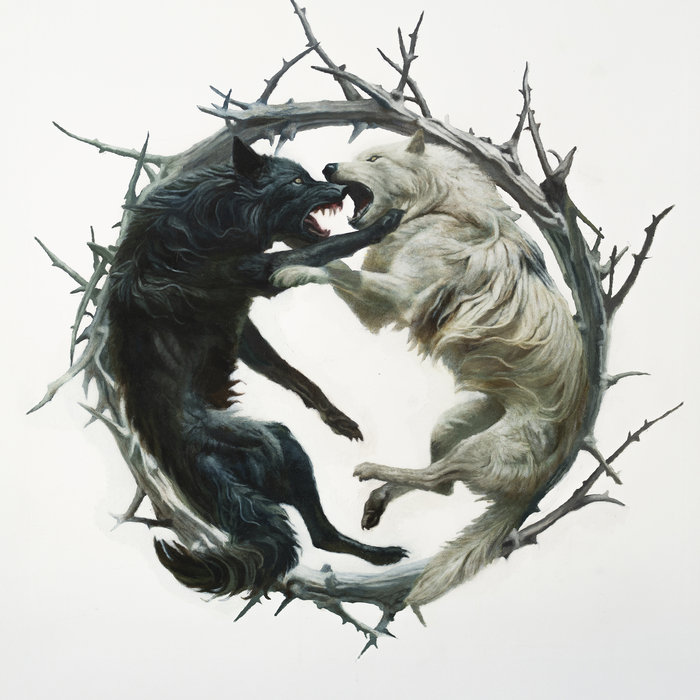 Phantom : : Phoenix | Stellar Circuits