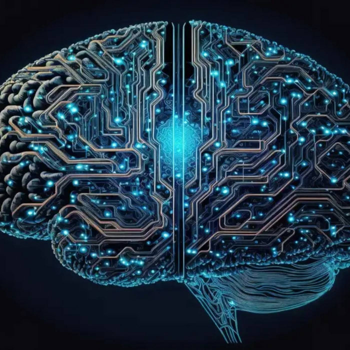 Tiny Brains | Adam R Sweet