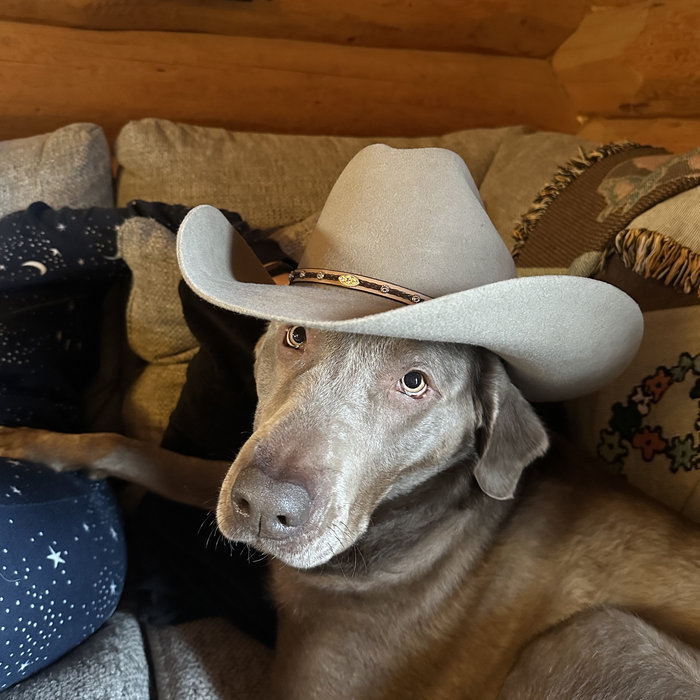 Telkwa Blues | Liam Cullen