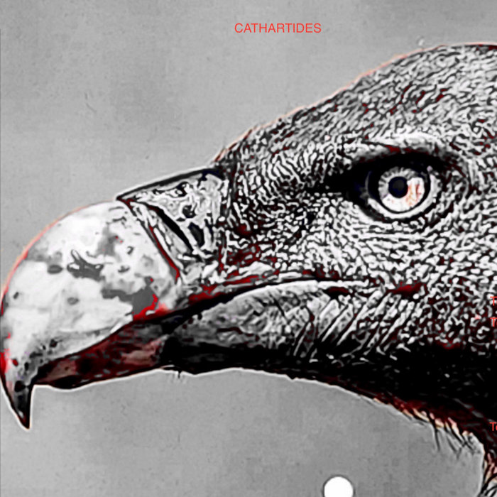 Cathartides | Cathartides