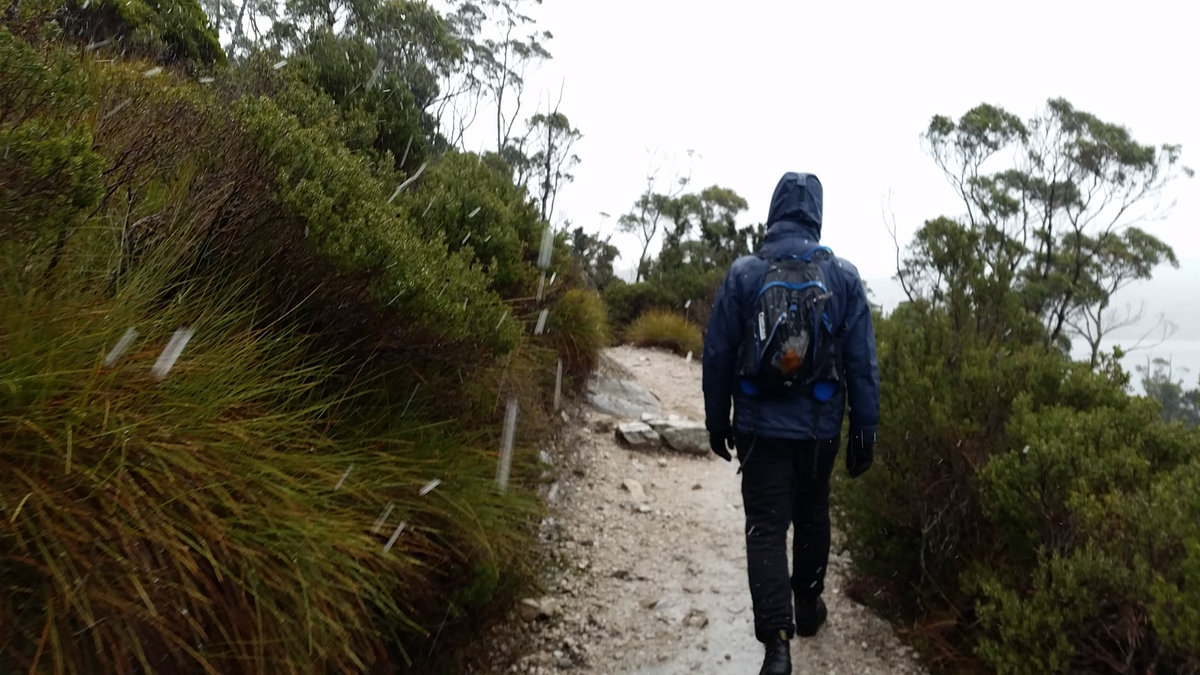 Bundled & Gone - Live Compilation | Adam Cadell