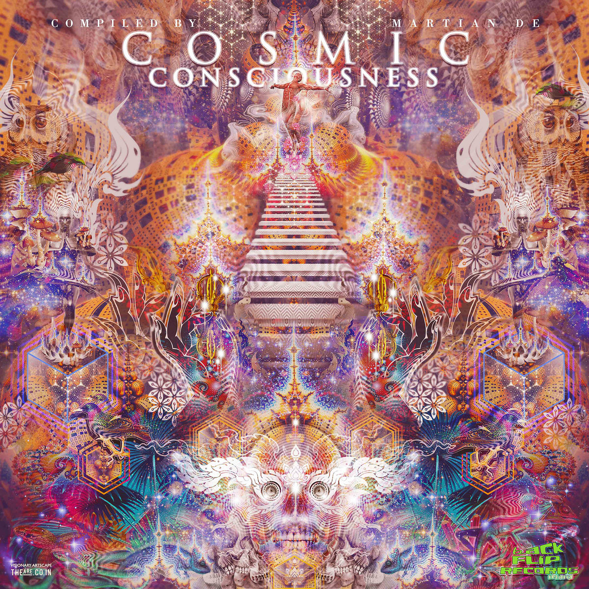 Cosmic Consciousness - 2017 - BFR012 | VA | BackFlip Records
