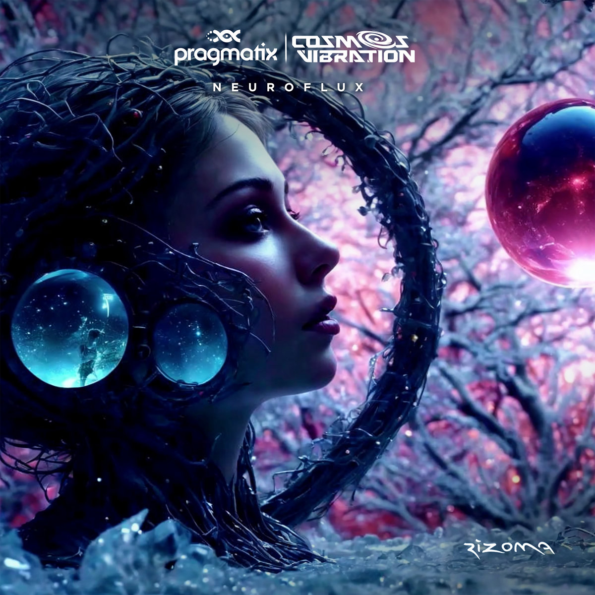 Neuroflux | Cosmos Vibration & Pragmatix (Rizoma Records) | Rizoma Records