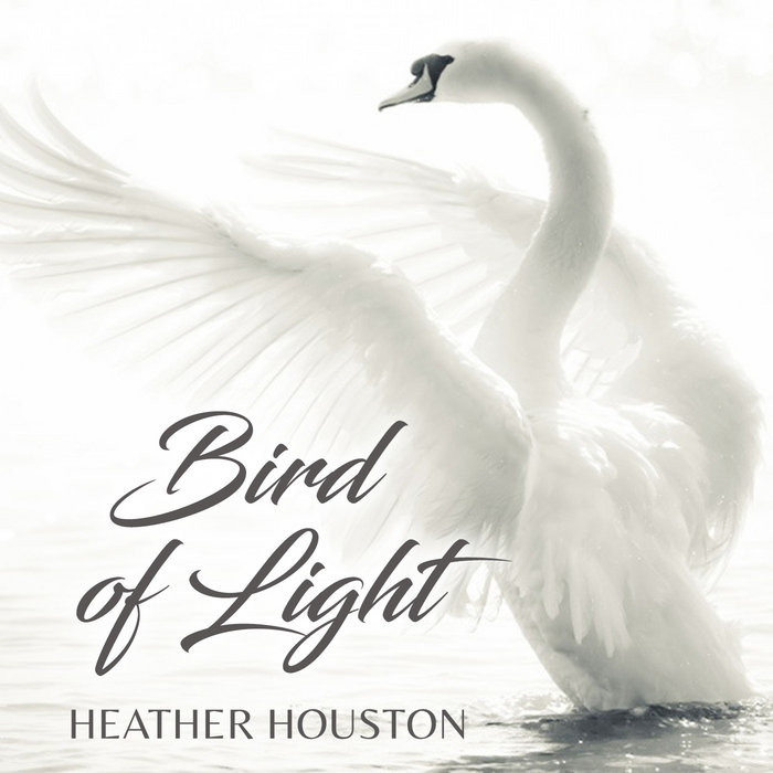 Bird of Light | Heather Houston