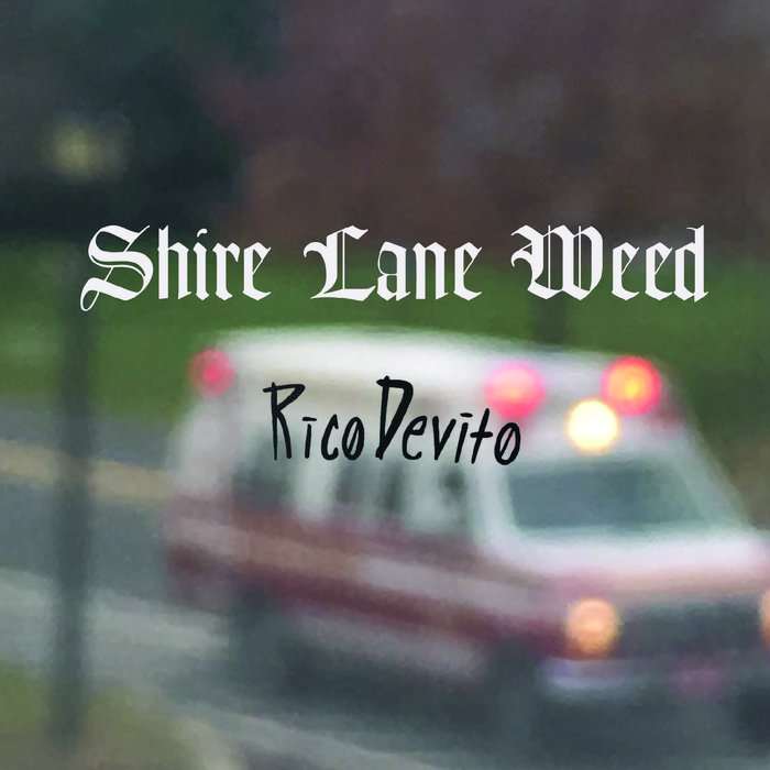 Shire Lane Weed | Rico Devito