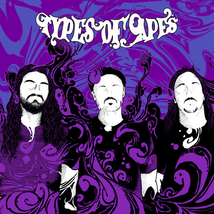 Types Of Apes | Types Of Apes