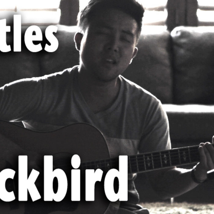 Beatles - Blackbird - David Choi Cover | David Choi